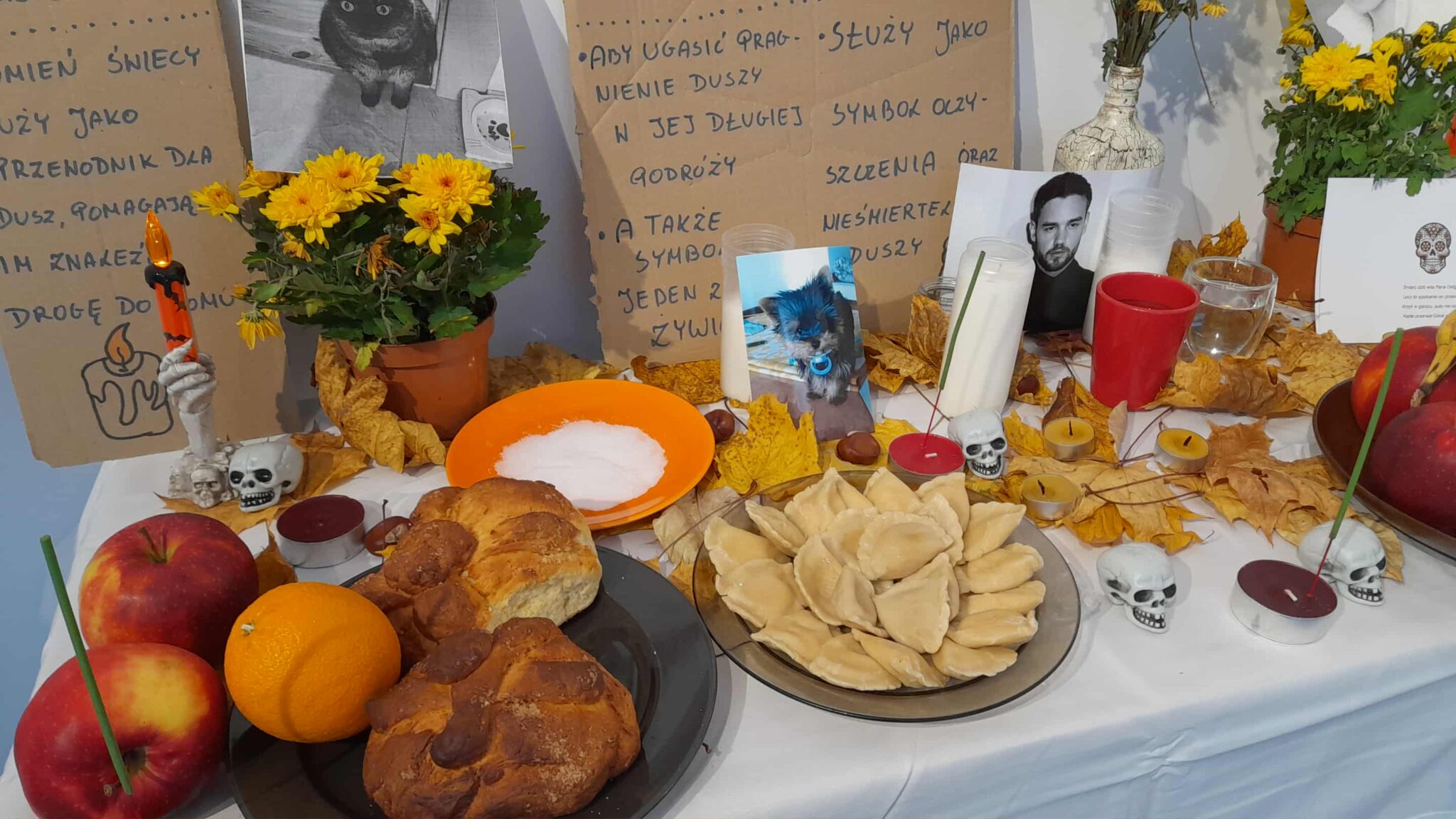 Talking about Studio Ghibli at Animafest Gdansk! - Polish-Japanese ...